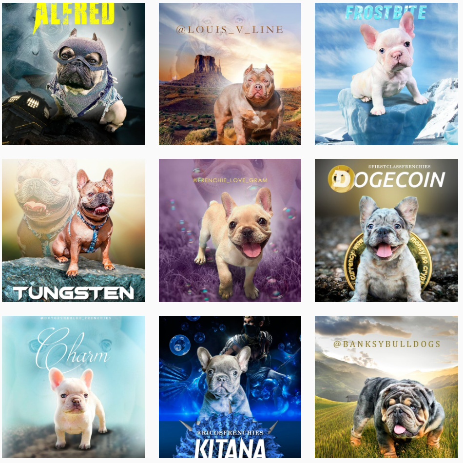 Custom banner photoshop creations – Breeder Webpage Logo